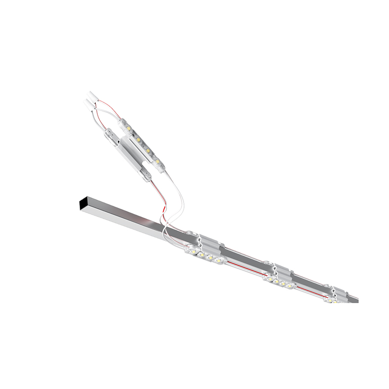 OpticMax 4D - Everylite